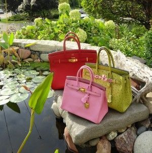 Hermes Birkin Sizes Reference Guide