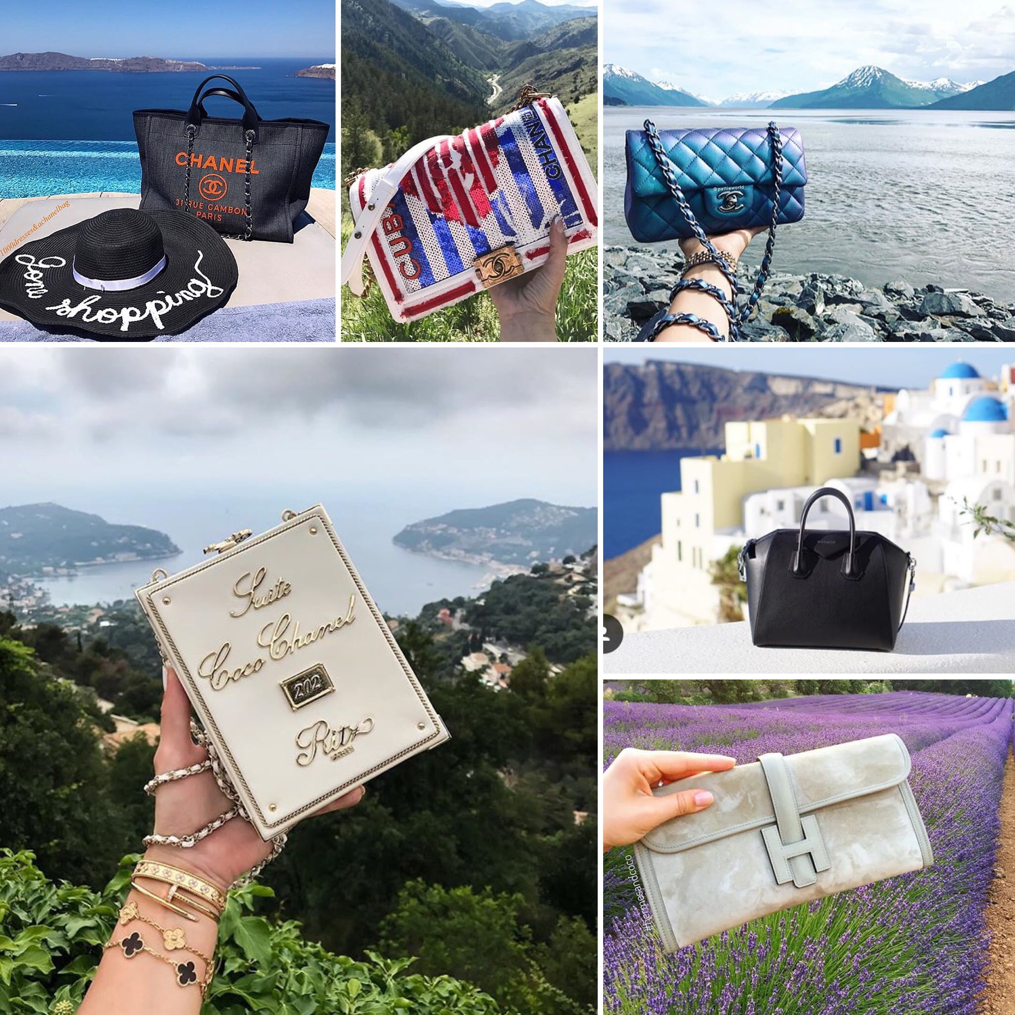 Bag With a View Challenge FINALISTS - PurseBop