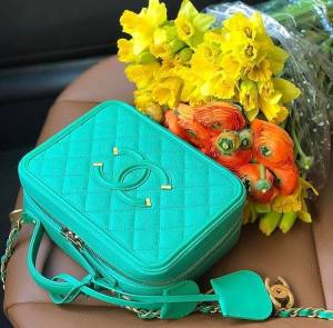 The Top 10 Bags We've Been Seeing on Instagram Lately - PurseBop