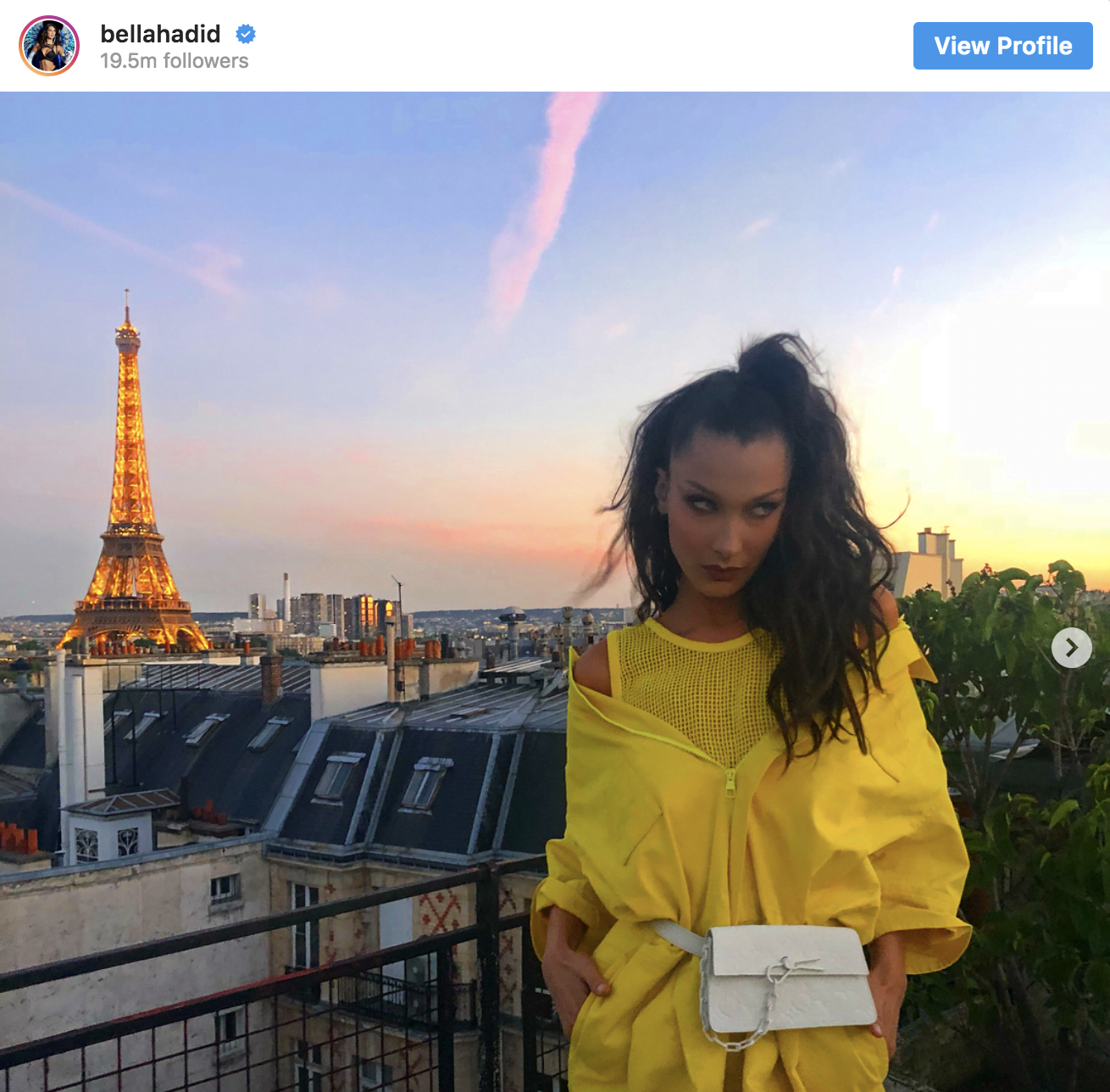 Celebrities Feature Their Favorite Designer Bags on Instagram - PurseBop
