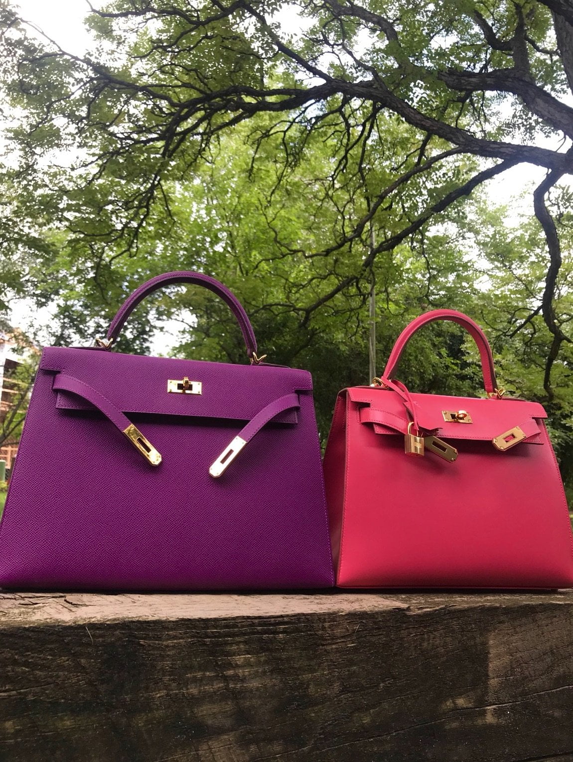 Describe Your Evolution as a Handbag Collector - PurseBop