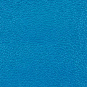 Hermès 101: The Evelyne Bag - PurseBop