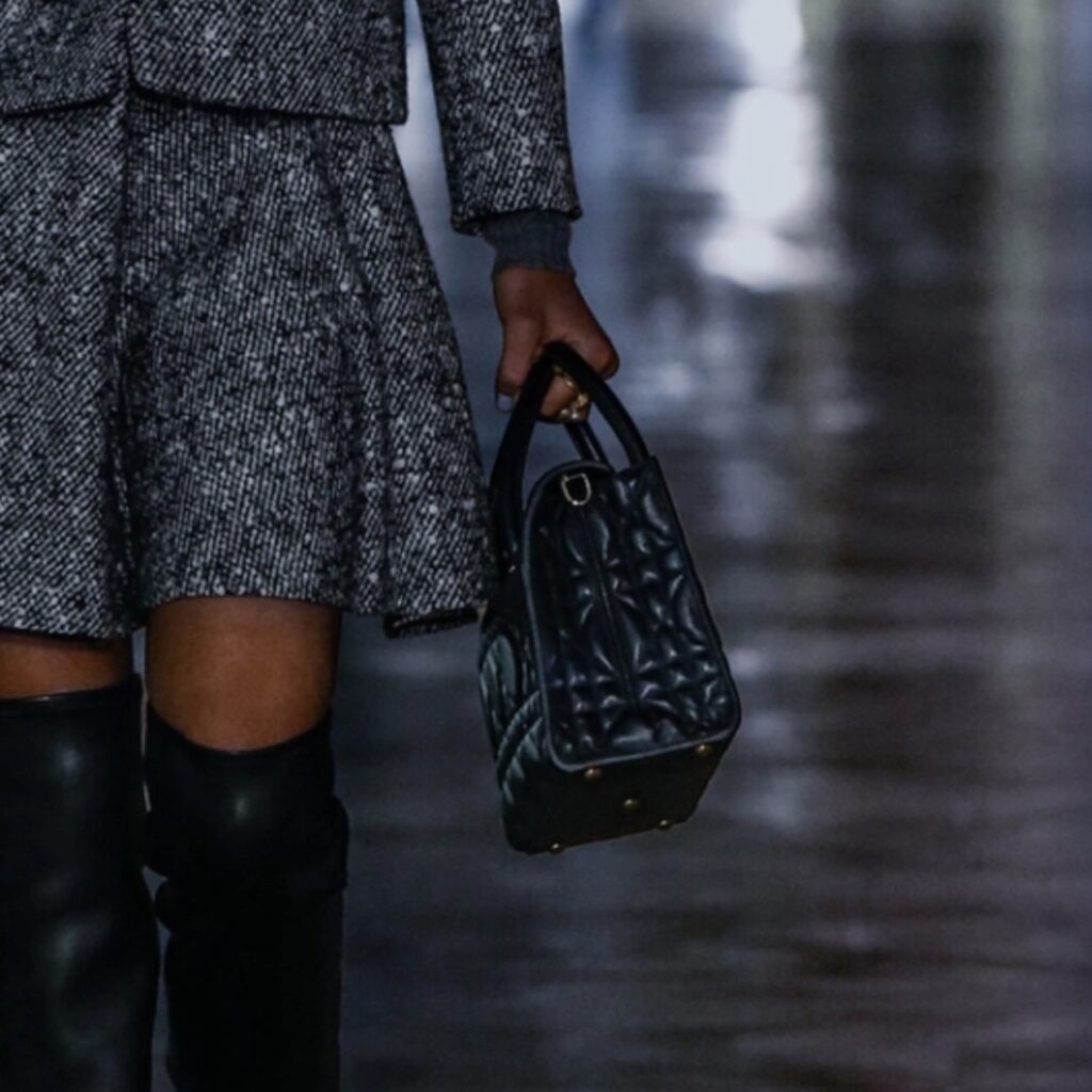 Dior Pre-Fall and Fall 2021 Handbags - PurseBop