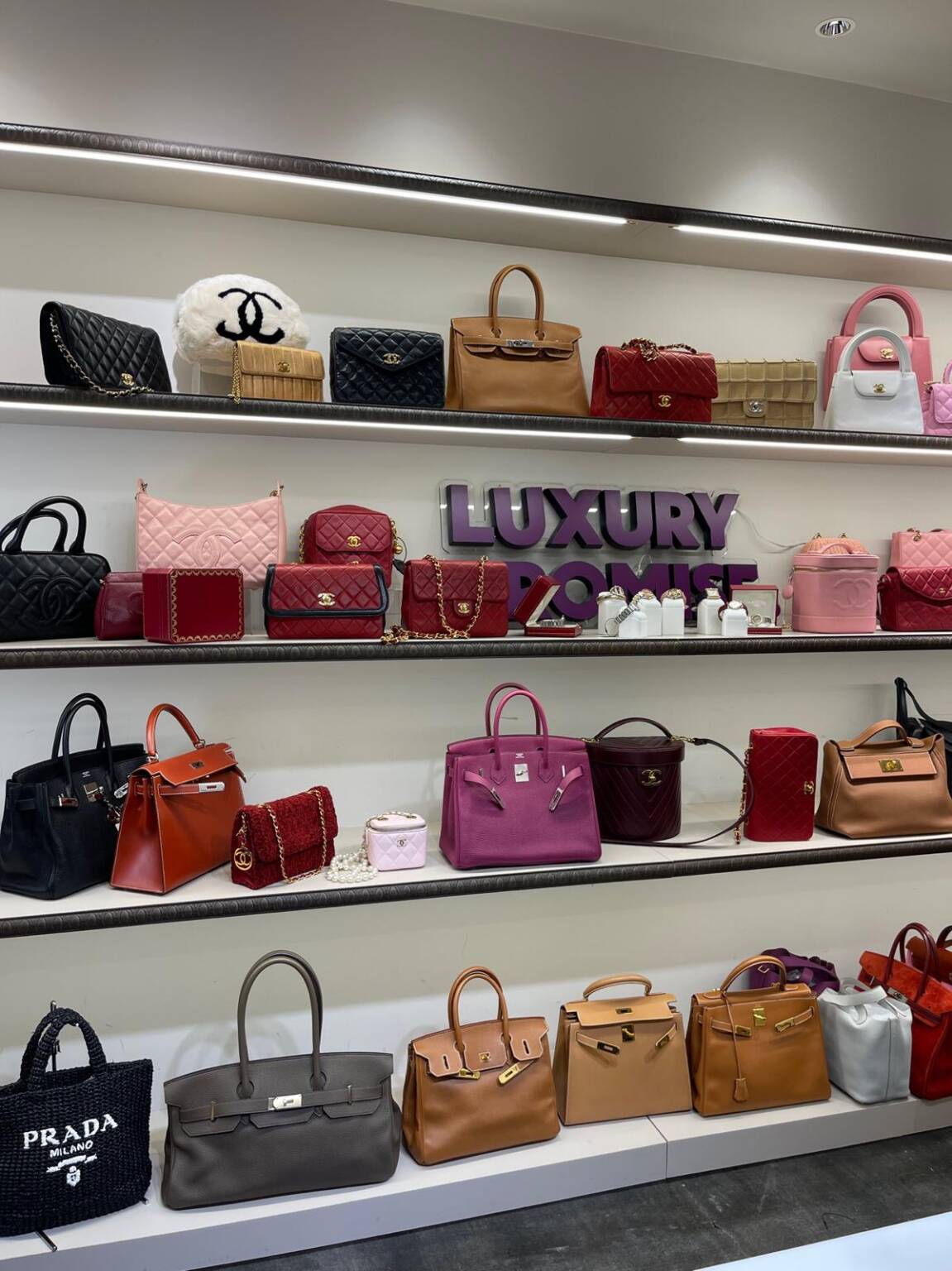 Luxury Promise Expands Into Global Markets - PurseBop