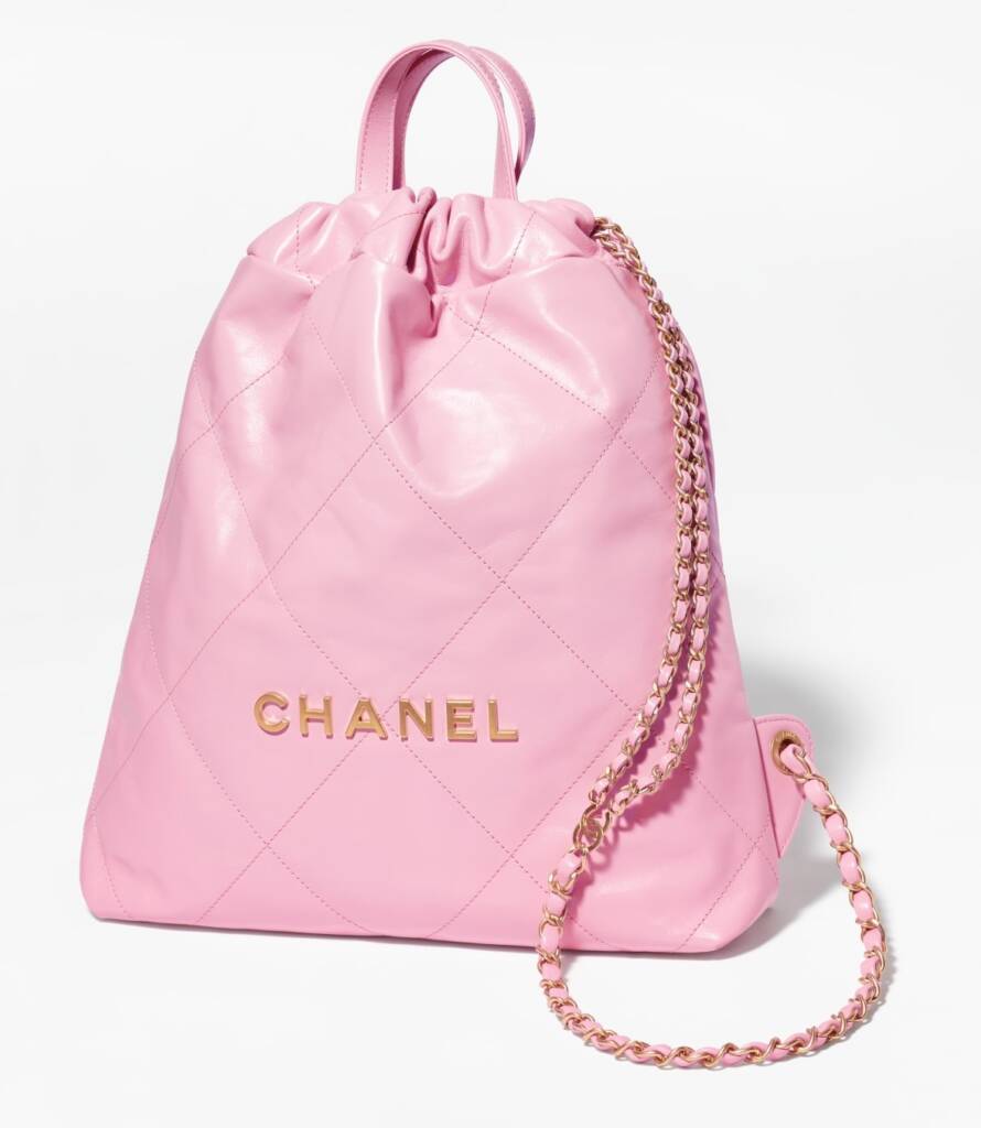 Chanel Spring/Summer Pre-Collection 2023 Handbags are Here - PurseBop