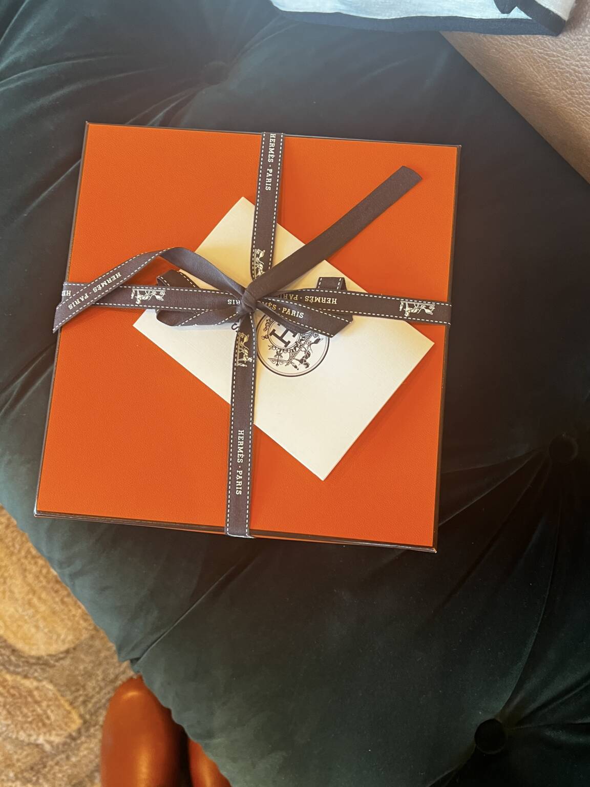 Part II: Hermès Reveal: My First Exotic Mini Kelly - PurseBop