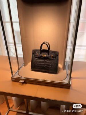 Updated: OMG, Move Over Mini Kelly, the Birkin 20 is Here - PurseBop