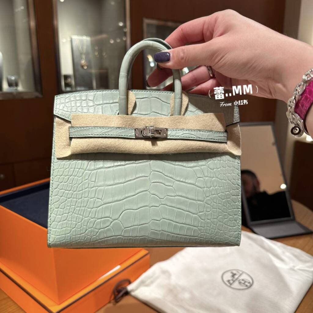 Updated: OMG, Move Over Mini Kelly, the Birkin 20 is Here - PurseBop