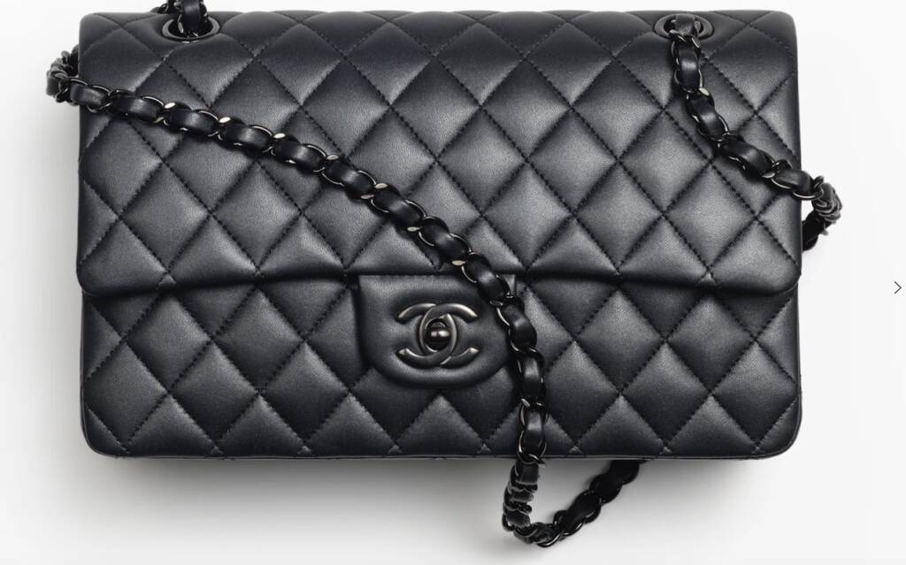 Chanel Pre-Fall/Winter 2023/24 Handbags Are Here - PurseBop