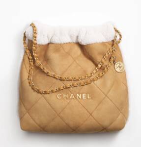 Chanel Pre-Fall/Winter 2023/24 Handbags Are Here - PurseBop
