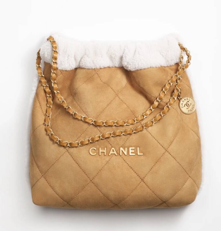 Chanel Pre-Fall/Winter 2023/24 Handbags Are Here - PurseBop