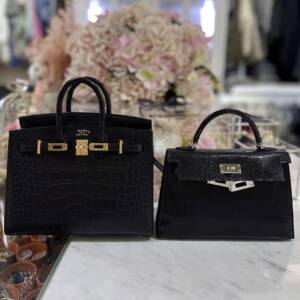 Updated: OMG, Move Over Mini Kelly, the Birkin 20 is Here - PurseBop