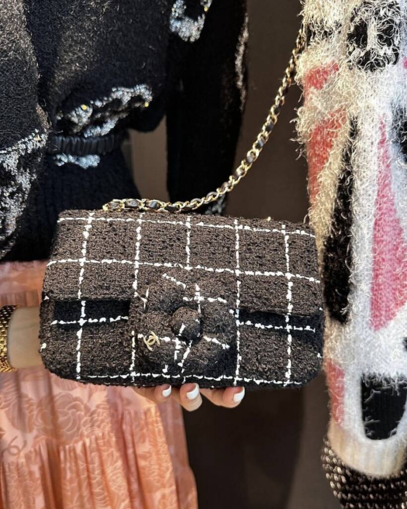 OMG, Chanel Fall (23K) Bags Are Finally Here - PurseBop