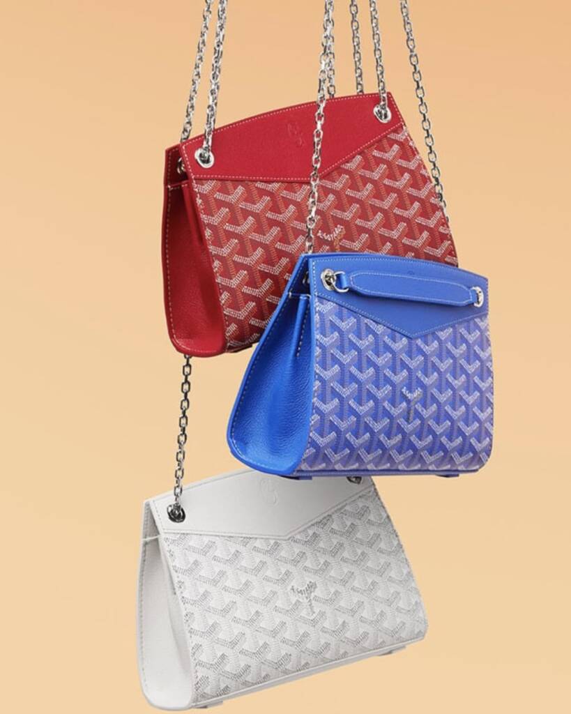 Goyard Deep Dive: A Look Beyond the Iconic Tote Bags - PurseBop