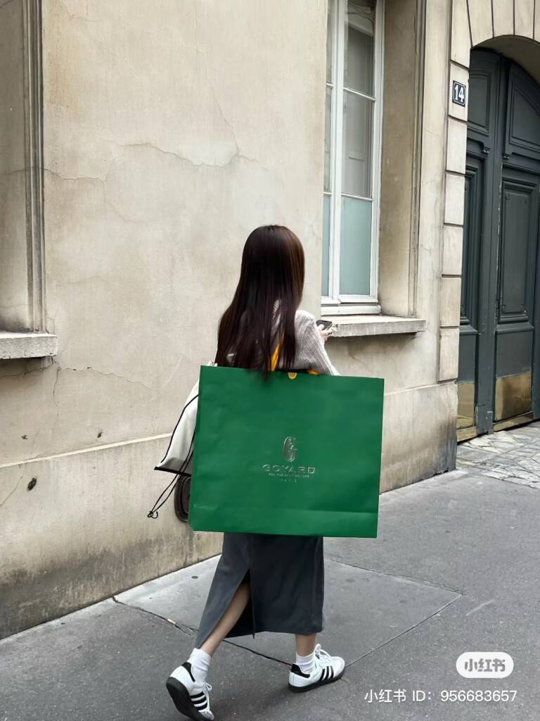 Goyard Deep Dive: A Look Beyond the Iconic Tote Bags - PurseBop