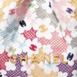 Chanel Spring-Summer 2024 (24P) Bags are Here - PurseBop