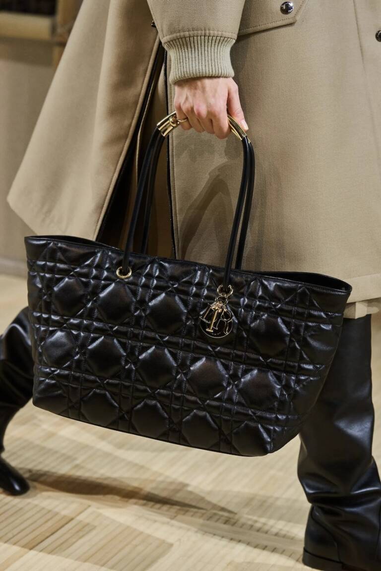 Dior Fall 2024 Bags Honor "Miss Dior" - PurseBop