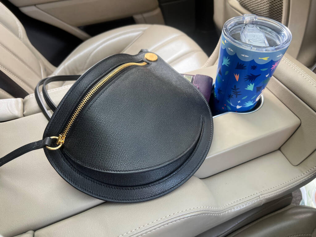 Of Course, We Love the New Hermès Petite Course Bag - PurseBop