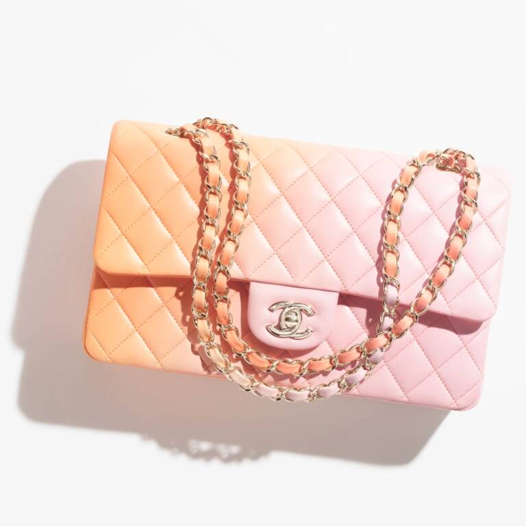 Chanel Spring-Summer (24S) Bags Have Arrived - PurseBop