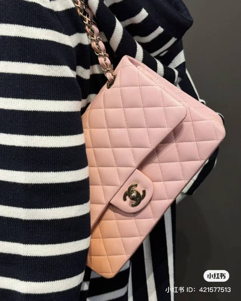 Chanel Spring-Summer (24S) Bags Have Arrived - PurseBop