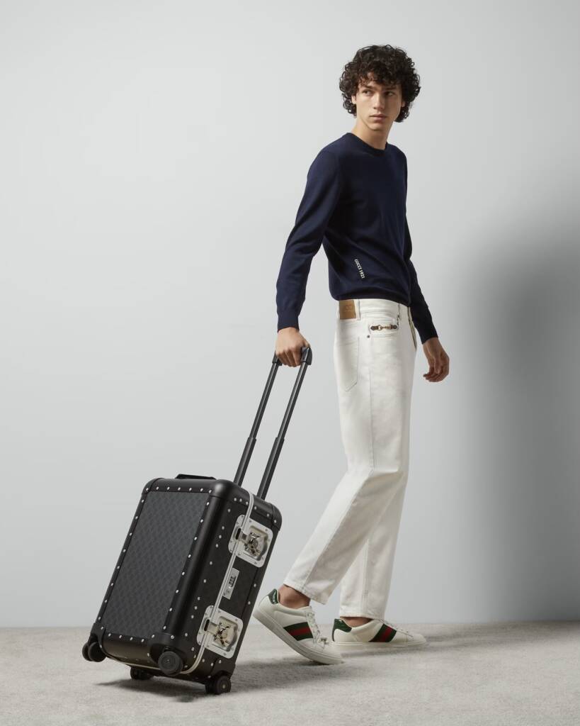 Journey in Style with the Ultimate Luxury Luggage - PurseBop