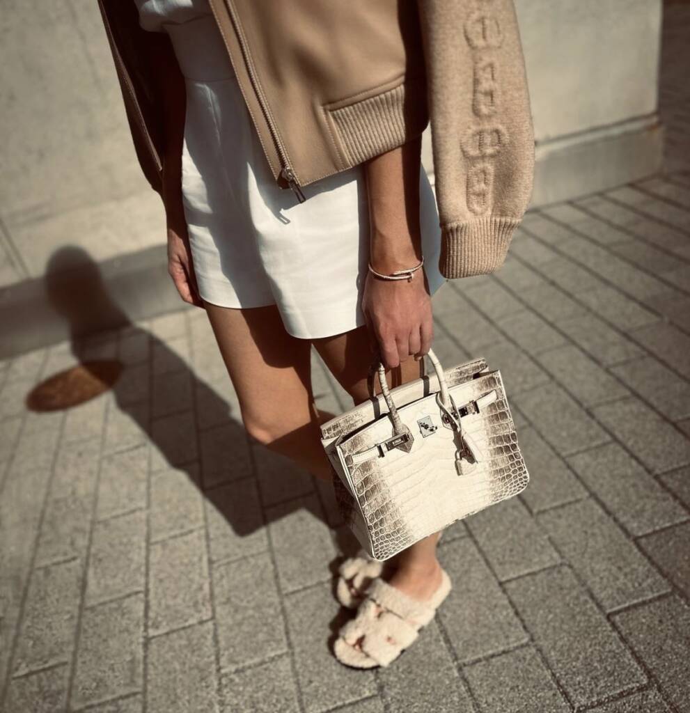 17 Hermès Birkin Styles You Need to Know - PurseBop
