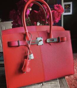 17 Hermès Birkin Styles You Need to Know - PurseBop