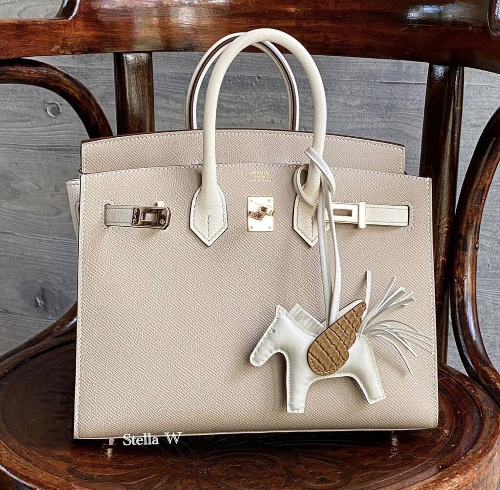 17 Hermès Birkin Styles You Need to Know - PurseBop