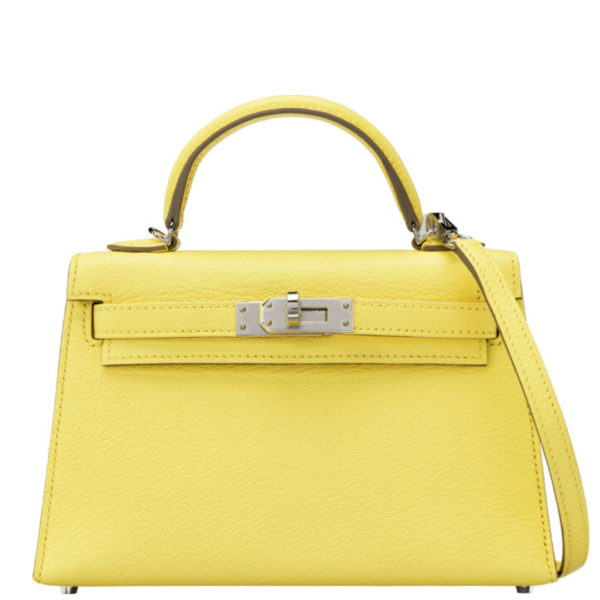 The New Chanel Kelly Bag is Here - PurseBop