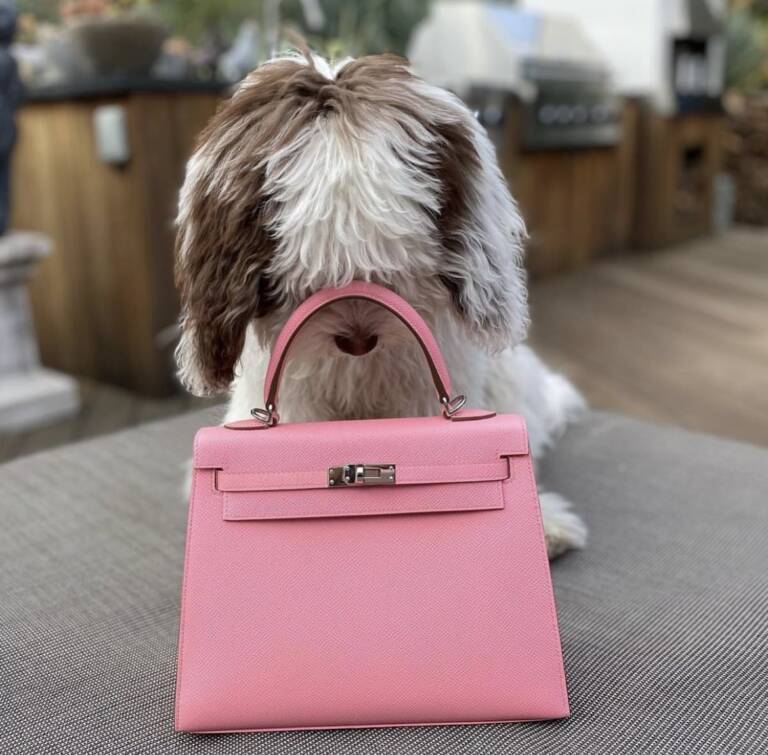 Curating a Hermès Collection in the Best Shades of Pink - PurseBop
