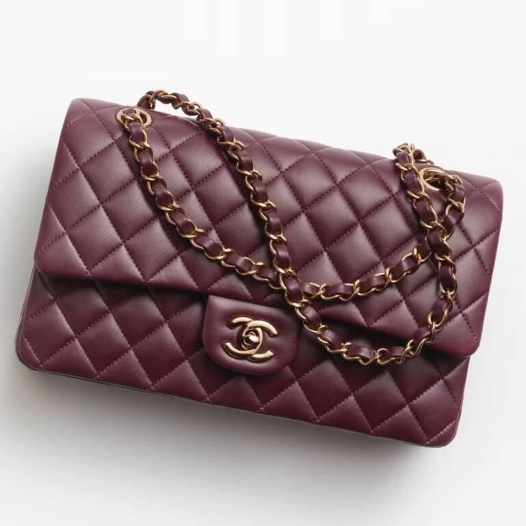 Chanel Pre-Fall/Winter 2024/25 (24B) Handbags Are Here - PurseBop
