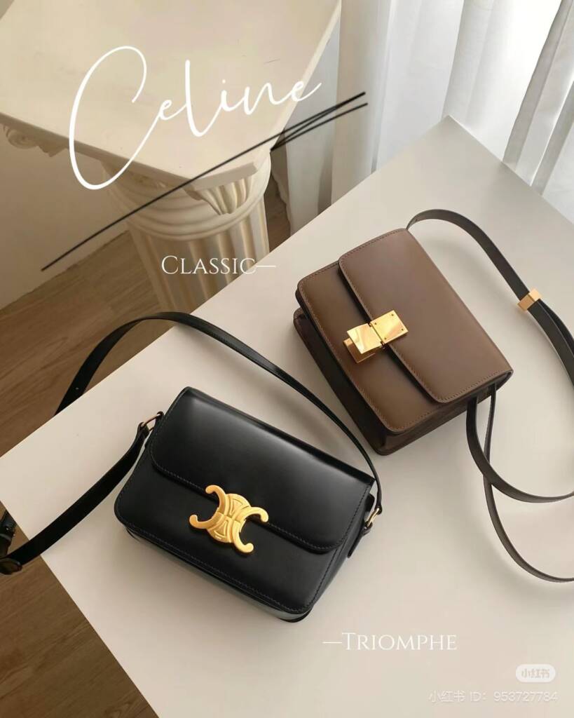 Am I Falling Out of Love with Celine’s Triomphe? - PurseBop