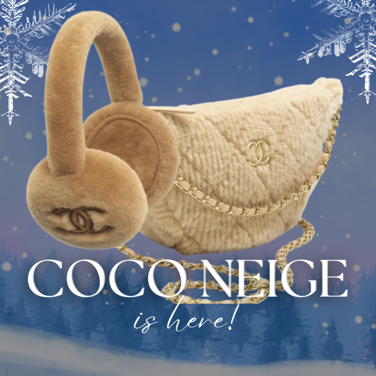 Chanel Coco Beach 2025 Bags are Here - PurseBop