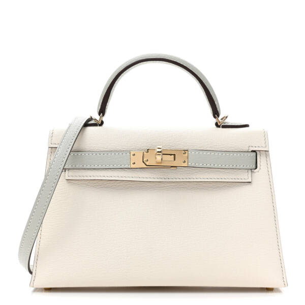 The Insider's Guide to the Hermès Bolide Bag - PurseBop