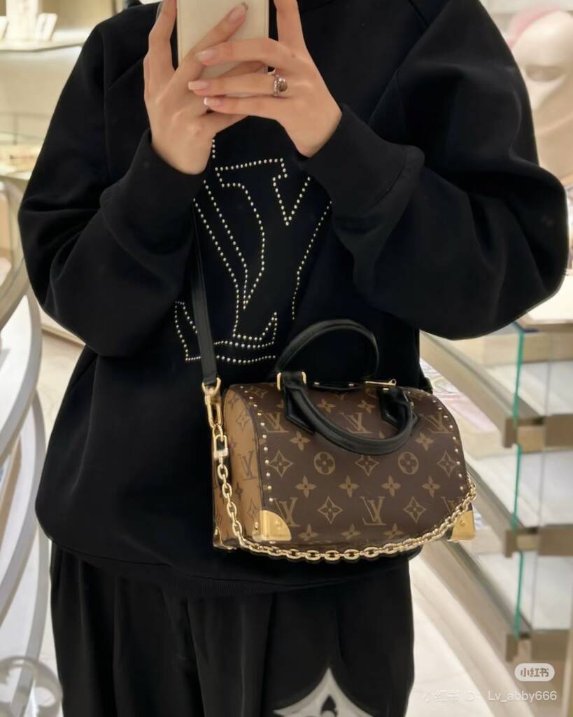 5 Hot New Louis Vuitton Cruise 2025 Bags - PurseBop