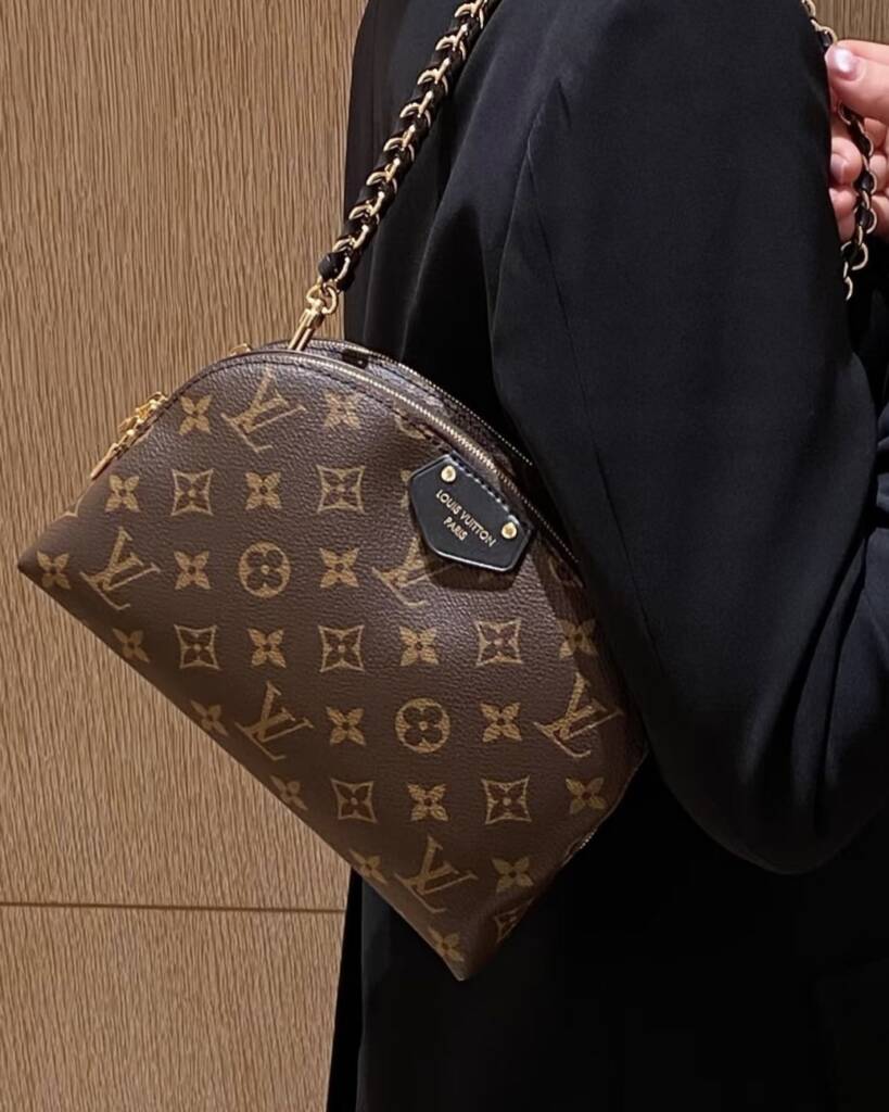 5 Hot New Louis Vuitton Cruise 2025 Bags - PurseBop