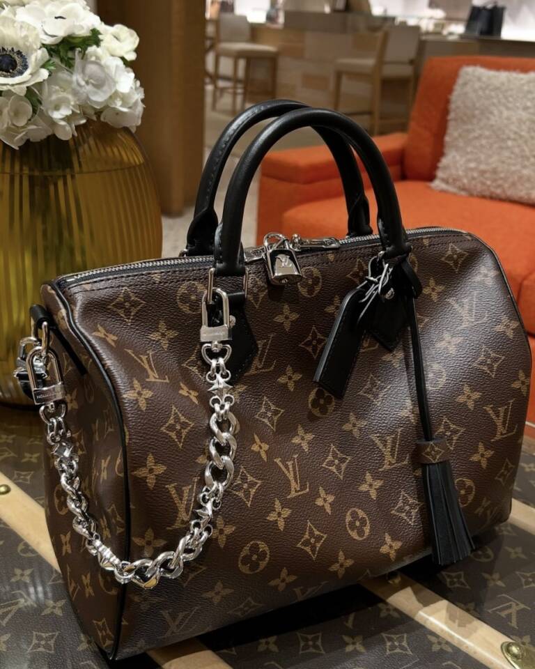 Louis Vuitton Speedy Soft: The Icon Gets a Trendy Twist - PurseBop