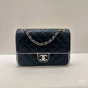 Chanel Spring-Summer 2025 Pre-Collection (25P) Bags Have Arrived - PurseBop