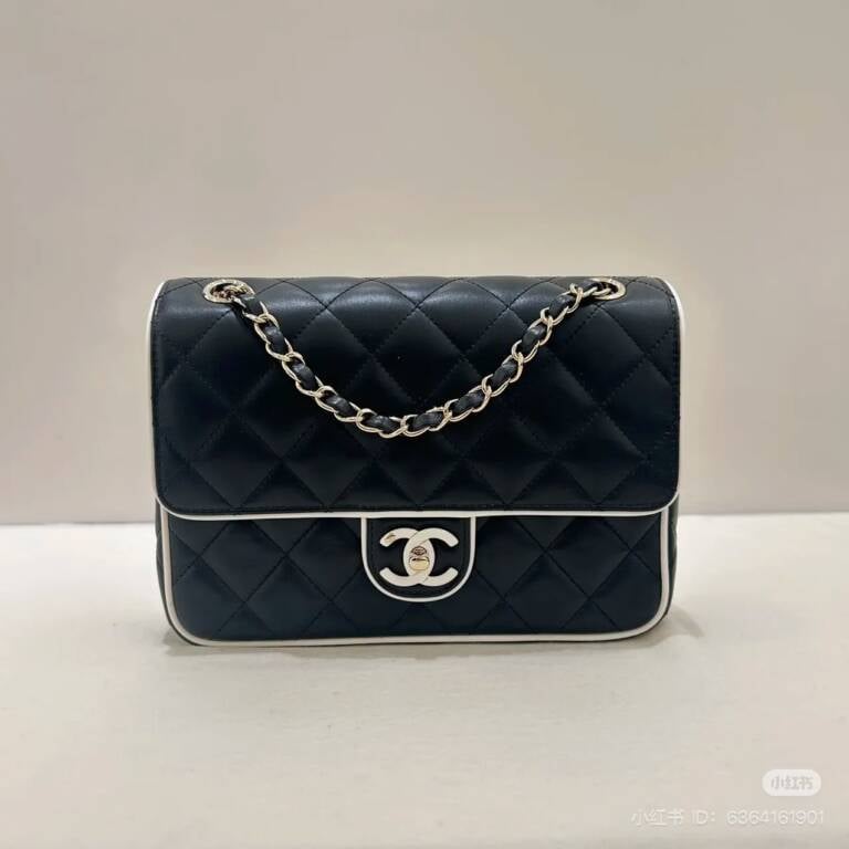 Chanel Spring-Summer 2025 Pre-Collection (25P) Bags Have Arrived - PurseBop