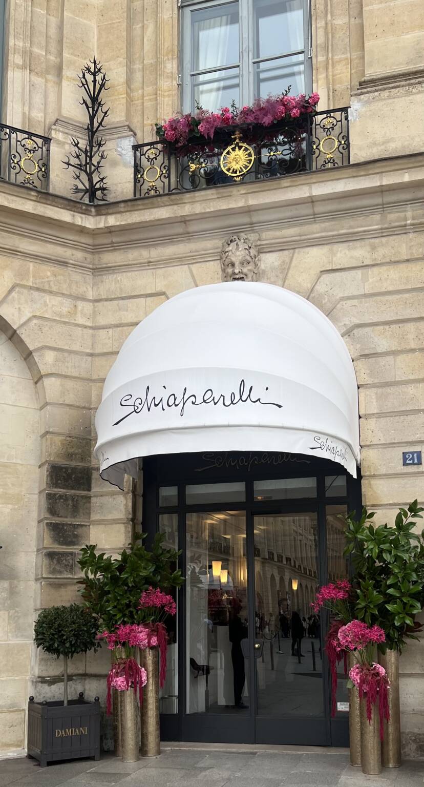 The Face of Schiaparelli - Iconic Handbags and Much More - PurseBop