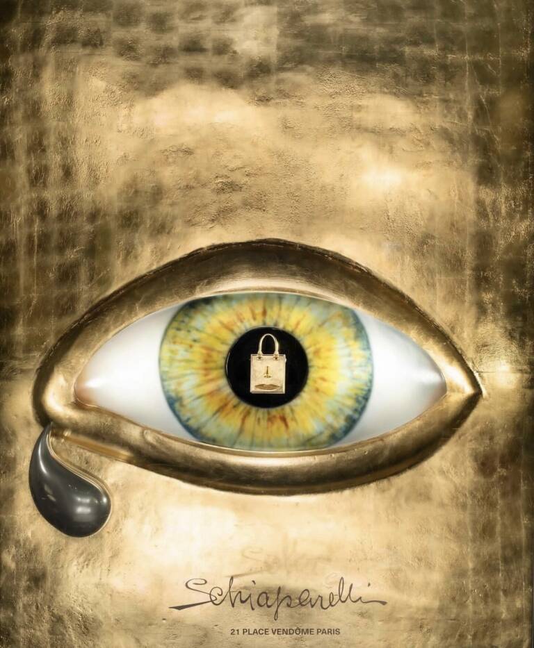 The Face of Schiaparelli - Iconic Handbags and Much More - PurseBop