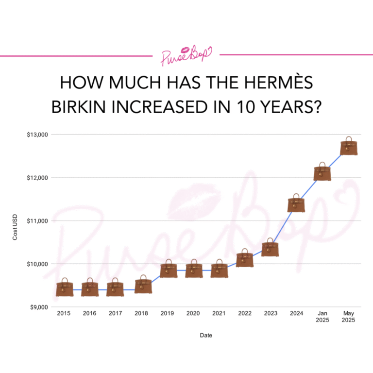 Updated: OMG, Move Over Mini Kelly, the Birkin 20 is Here - PurseBop
