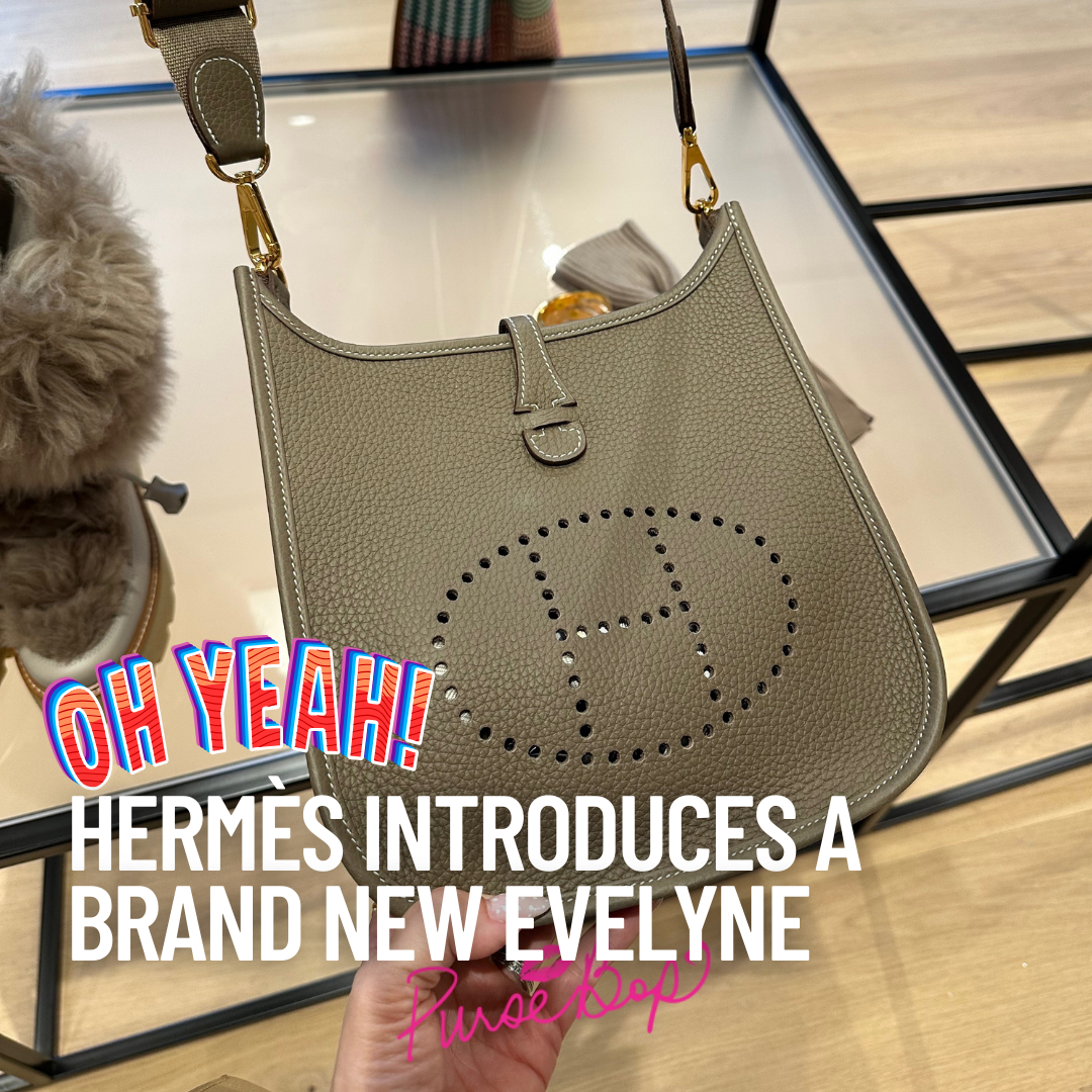 Hermès 101: The Evelyne Bag - PurseBop