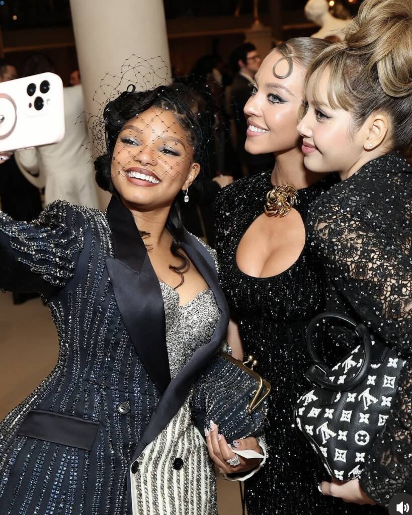 Which Handbag Brand Dominated the 2025 Met Gala? - PurseBop