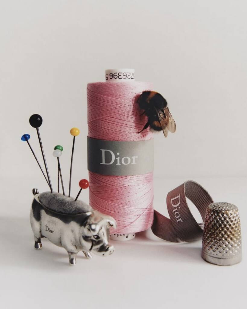 Jonathan Anderson’s Dior Debut - Men's Summer 2026 - PurseBop