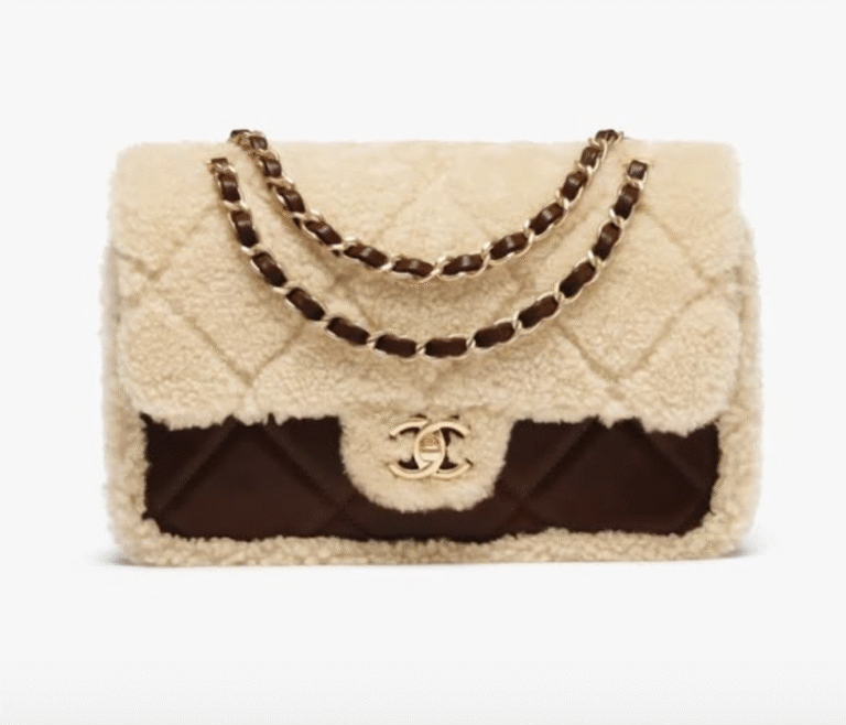 Chanel Fall-Winter 2025 (25K) Mini & Maxi Bags Have Arrived - PurseBop