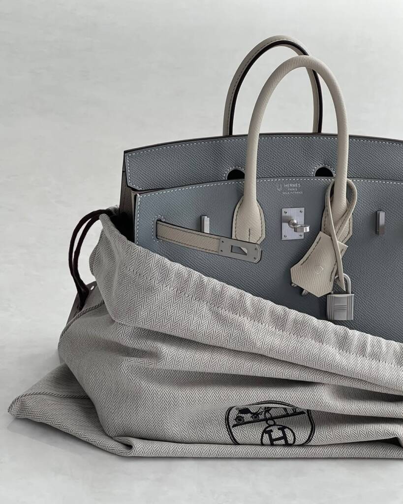 Dear PurseBop: Should I Spend My Luxury Budget at Hermès or Chanel in ...